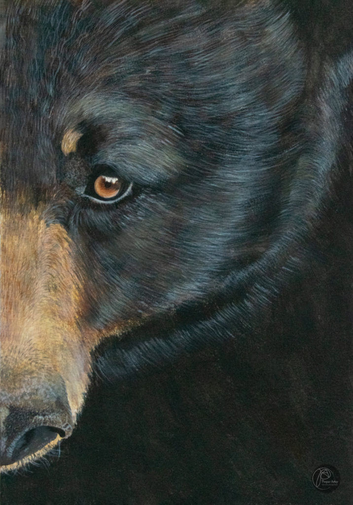 Canadian Animal Collection - Proper Artsy